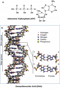 CH105: Chapter 5 - Introduction to Organic Chemistry - Chemistry