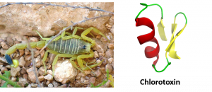 CH105: Chapter 6 - A Brief History of Natural Products and Organic ...