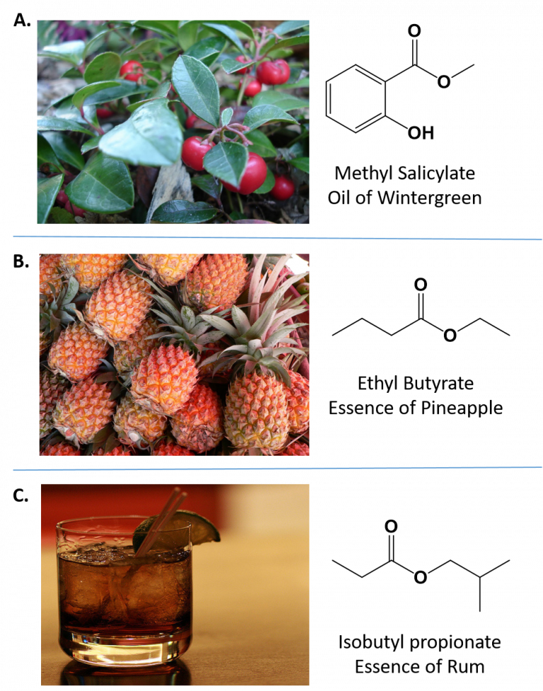 CH105: Chapter 9 - Organic Compounds of Oxygen - Chemistry