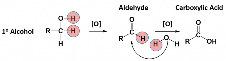 CH103 - Chapter 7: Chemical Reactions in Biological Systems - Chemistry