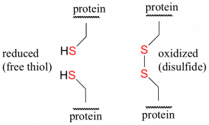 CH105: Chapter 10 - Compounds with Sulfur, Phosphorus, and Nitrogen ...