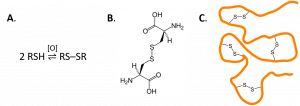 CH105: Chapter 10 - Compounds with Sulfur, Phosphorus, and Nitrogen ...