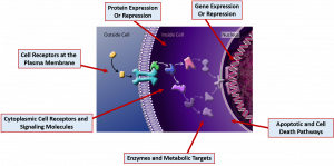 CH103 - Chapter 7: Chemical Reactions in Biological Systems - Chemistry