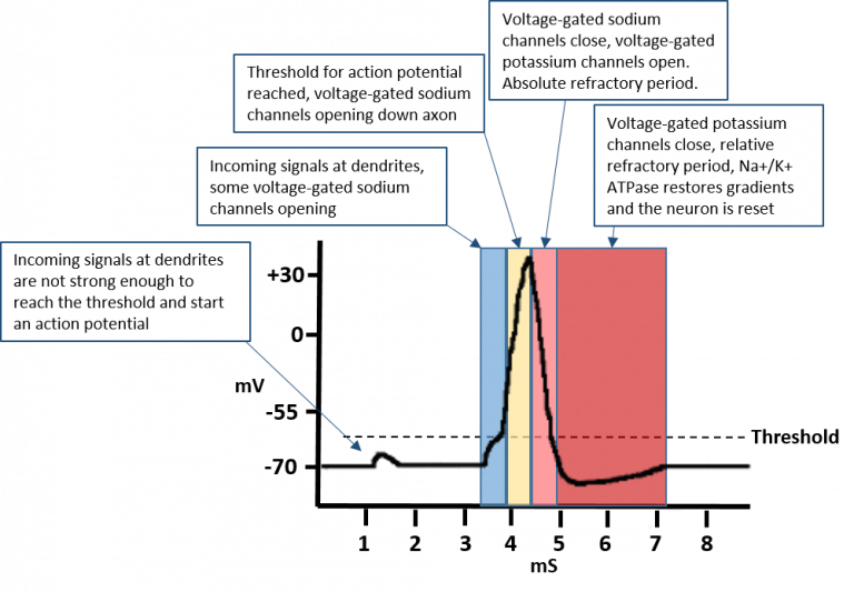 CH103 - CHAPTER 4: Ions and Ionic Compounds - Chemistry