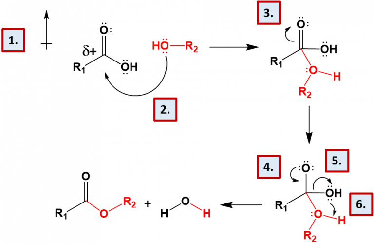 CH103 - Chapter 7: Chemical Reactions in Biological Systems - Chemistry