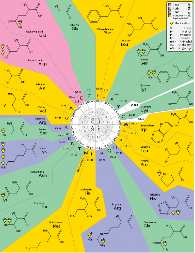 Chapter 1: The Foundations of Biochemistry - Chemistry