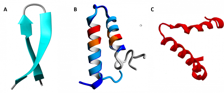 Chapter 2: Protein Structure - Chemistry