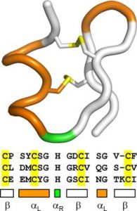 Chapter 2: Protein Structure - Chemistry