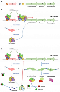 Chapter 13: Transcriptional Control and Epigenetics - Chemistry