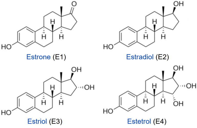 Chapter 13: Transcriptional Control and Epigenetics - Chemistry
