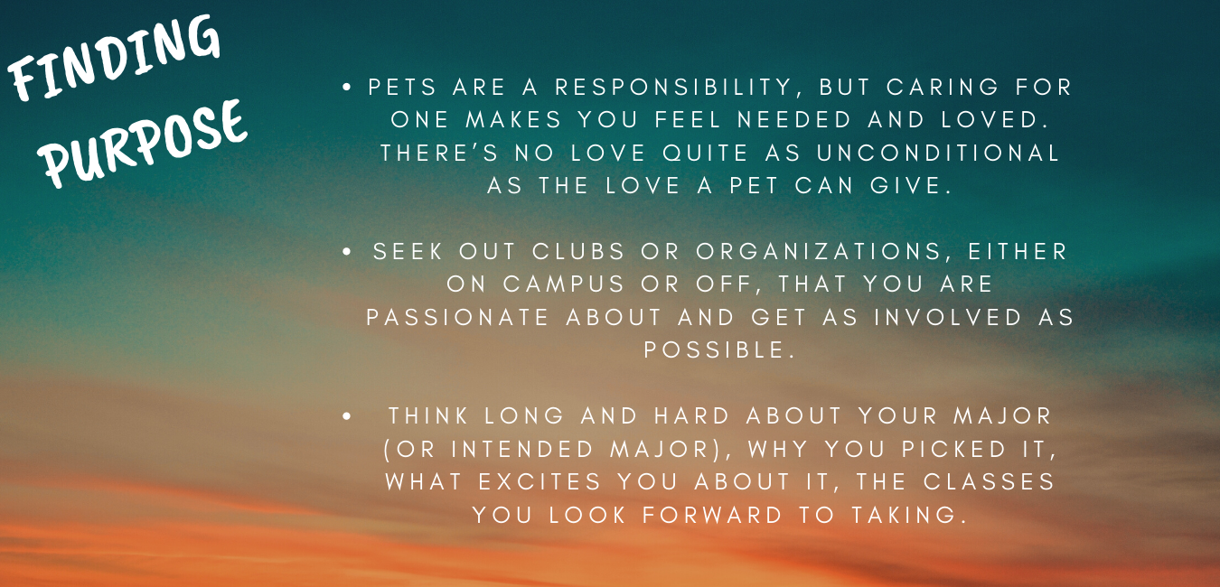 Finding Purpose – Student Health & Counseling Center