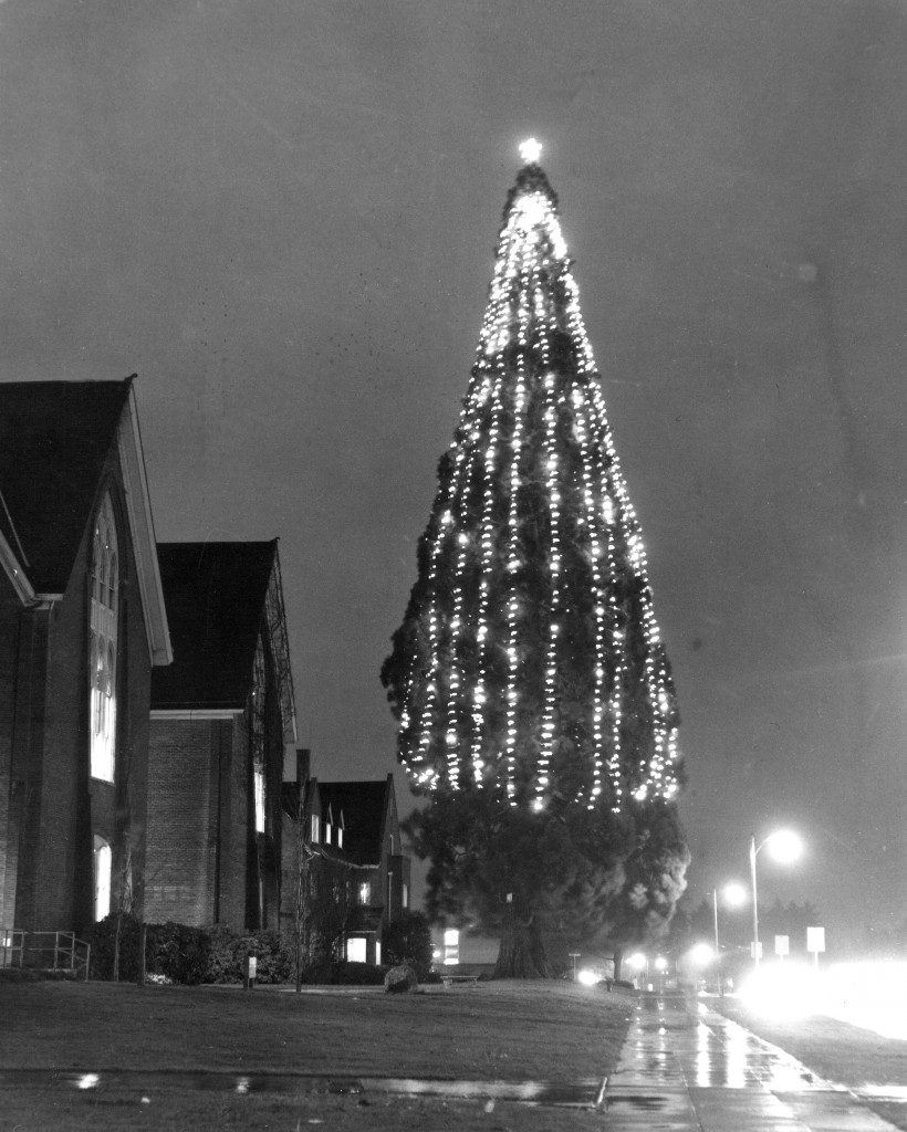 Western will celebrate its 47th annual tree lighting this year – The ...