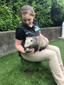 In defense of zoos – The Western Howl